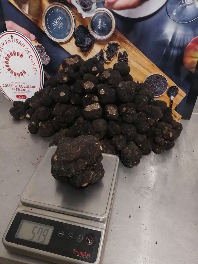 Nos premières truffes noires de la saison à la vente - Truffe Aléna